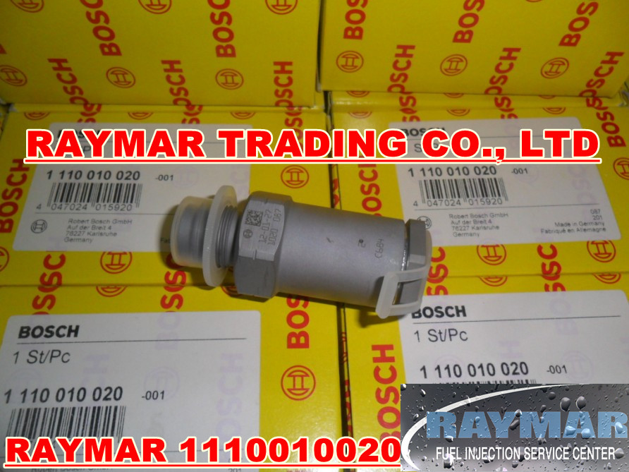 BOSCH pressure relief valve 1110010020