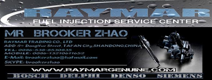 DELPHI Common rail fuel rail 28231471 for HYUNDAI & KIA 31400-4A700